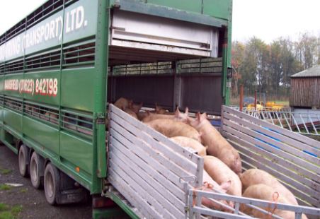 Vehicle Characteristics and Loading » LGV Theory